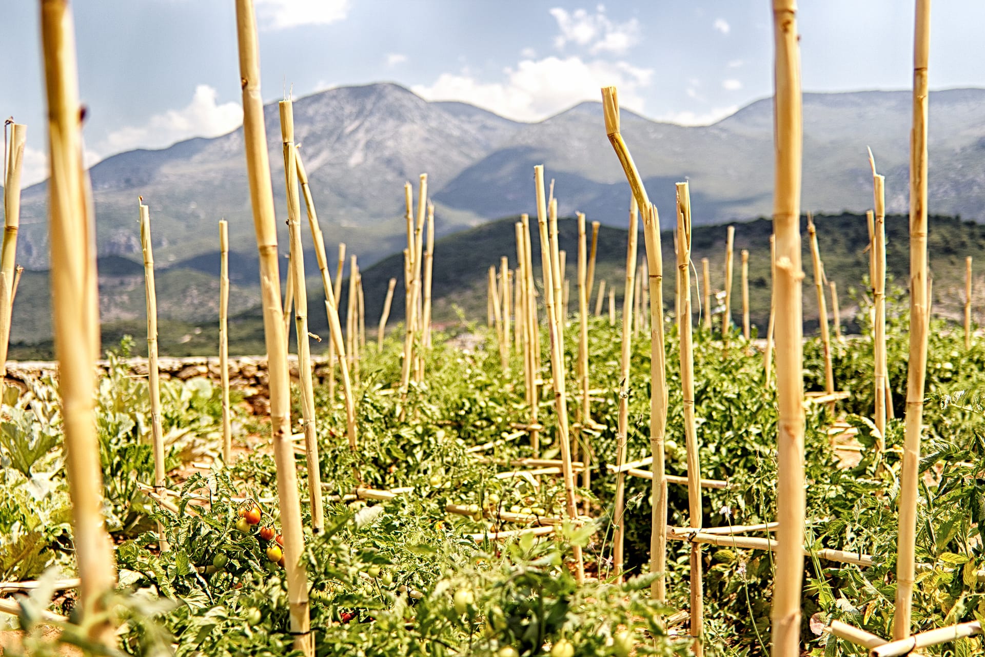 Euphoria Studios - Πλάτωμα, Μάνη - Διαμονή| Ekdromi.gr