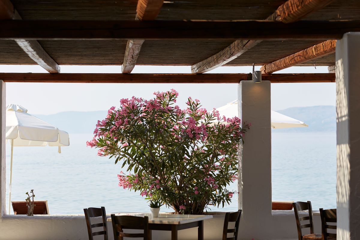 Hydra Beach Resort 5 αστέρων - Ερμιόνη έως -30% από 265€/νύχτα - All ...