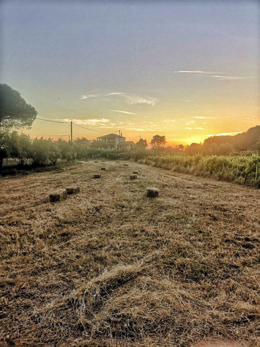 Genari Beach Apartments- Λεβεντοχώρι, Ηλεία Διαμονή -25% | Ekdromi.gr