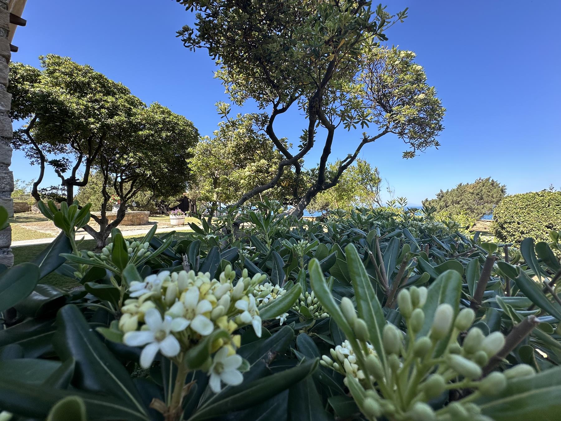 Genari Beach Apartments- Λεβεντοχώρι, Ηλεία Διαμονή -25% | Ekdromi.gr