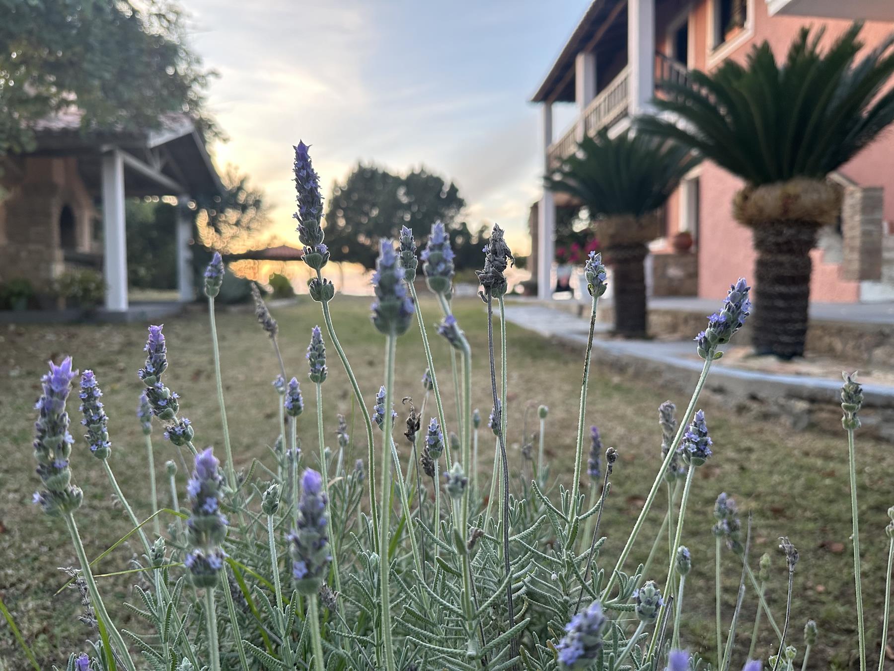 Genari Beach Apartments- Λεβεντοχώρι, Ηλεία Διαμονή -25% | Ekdromi.gr