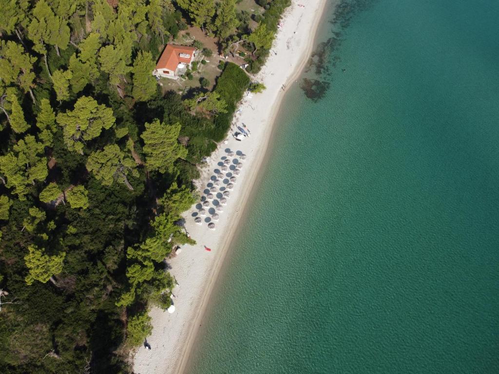 Greek Pride Aithrion Hotel 4 αστέρων - Κρυοπηγή, Χαλκιδική από 66 ...